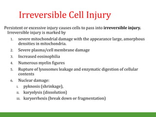 2- Pathology CELL INJURY L1 Medical Sept 2020.ppt