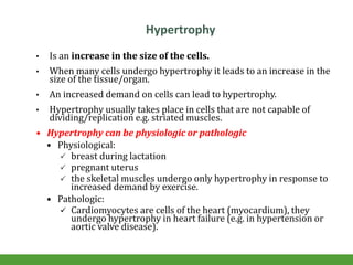 2- Pathology CELL INJURY L1 Medical Sept 2020.ppt