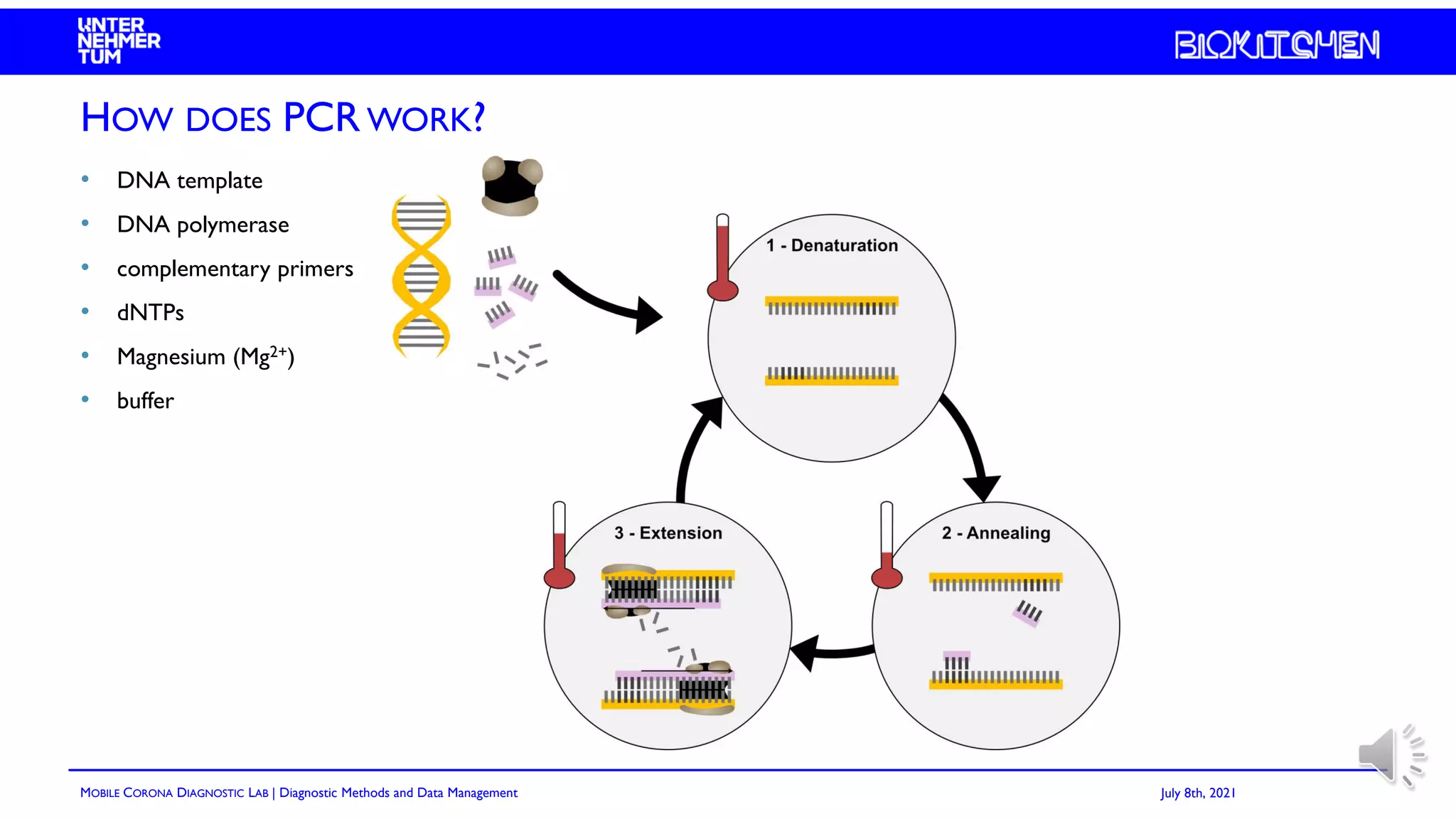 2 - PCR.pdf
