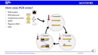 2 - PCR.pdf