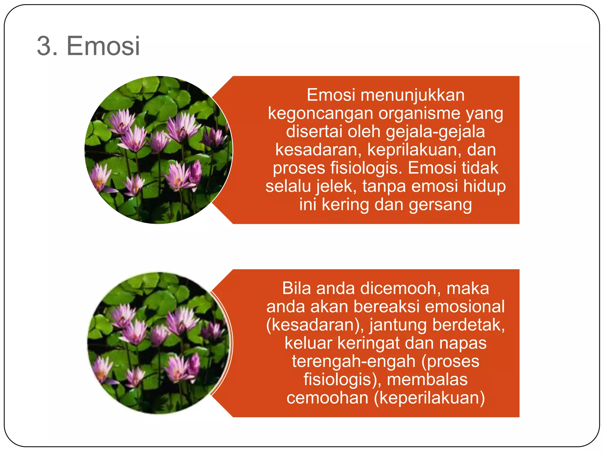 perilaku manusia | PPTX