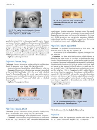2 periorbital | PDF