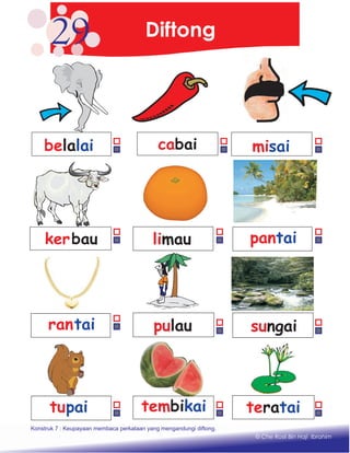 petua asas membaca | PDF
