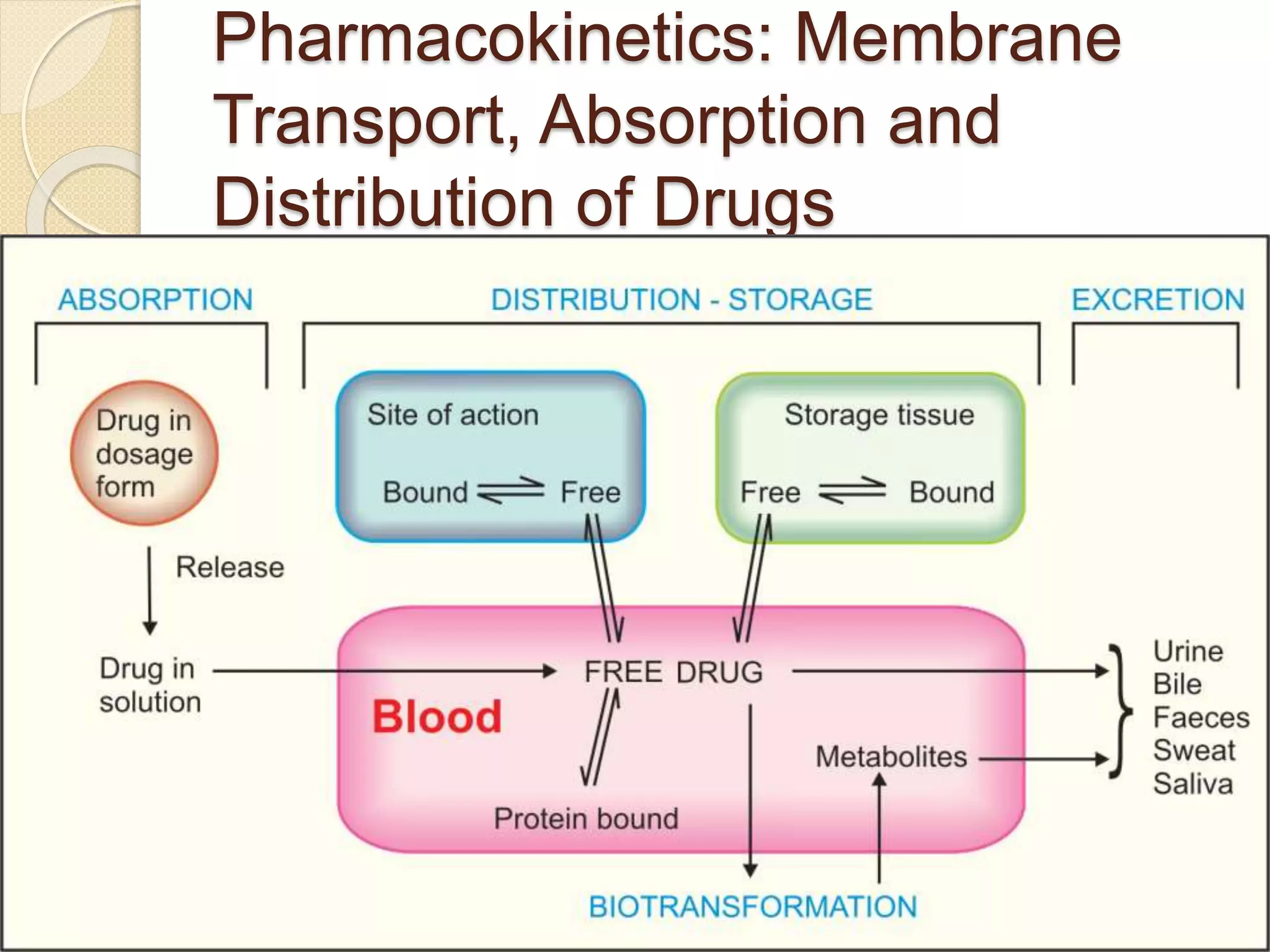 Pharmacokinetics | PPTX
