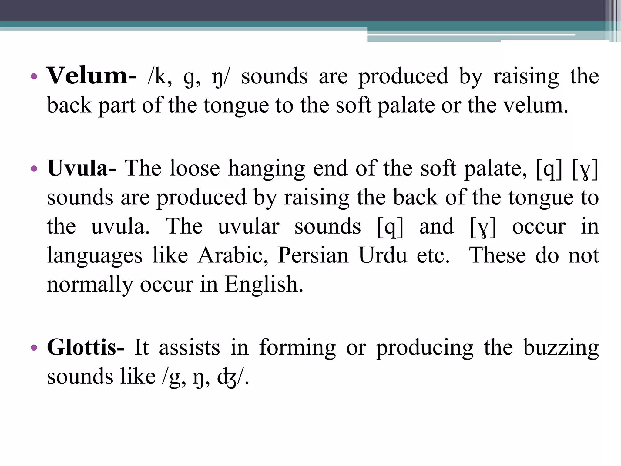 Introduction to Phonetics and Phonology | PPTX