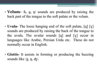 Introduction to Phonetics and Phonology | PPTX