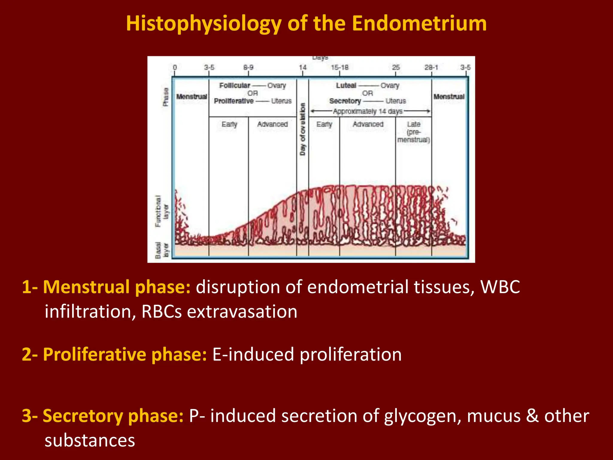 2- The Physiology of Menstrual Cycle.ppt