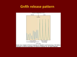 2- The Physiology of Menstrual Cycle.ppt | Infertility | Reproductive ...