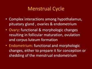 2- The Physiology of Menstrual Cycle.ppt