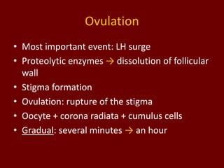 2- The Physiology of Menstrual Cycle.ppt