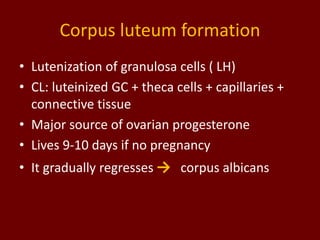 2- The Physiology of Menstrual Cycle.ppt