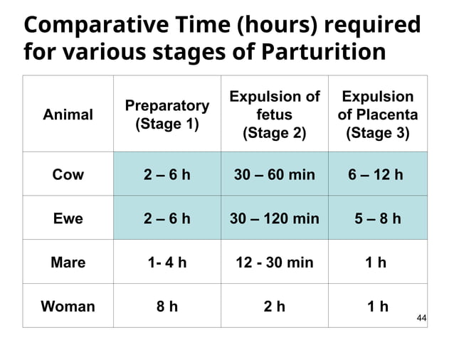 2-placentation. and endocrinologyin domestic animals cattle | PPT