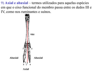 Aula 2 Anatomia - Planos e Eixos | PPTX