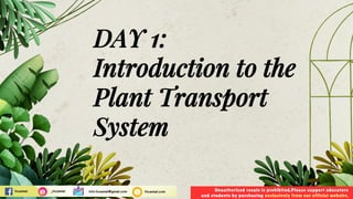Plant transport system -science -8 plant transport system | PDF