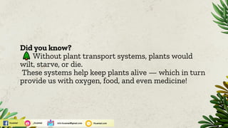 Plant transport system -science -8 plant transport system | PDF