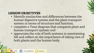 Plant transport system -science -8 plant transport system | PDF
