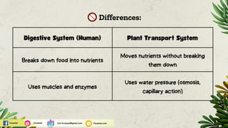 Plant transport system -science -8 plant transport system | PDF