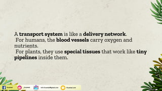 Plant transport system -science -8 plant transport system | PDF