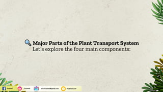 Plant transport system -science -8 plant transport system | PDF
