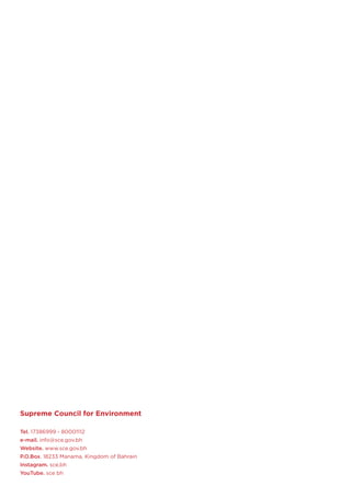 Kingdom of Bahrain | Single Use Plastic Products Licensing Guide | PDF