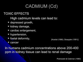2 pollution (heavy metals)w | PPT