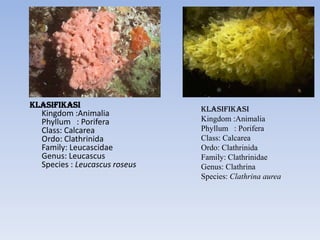 2. power point | PDF