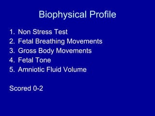 #2 Powerpoint 231 | PPT