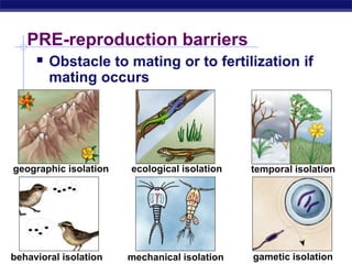2-pp-population-genetics-speciation (3).ppt