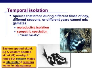 2-pp-population-genetics-speciation (3).ppt