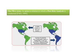 Pest risk analysis-Pest risk analysis (PRA) | PPTX