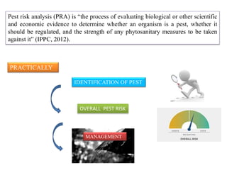 Pest risk analysis-Pest risk analysis (PRA) | PPTX