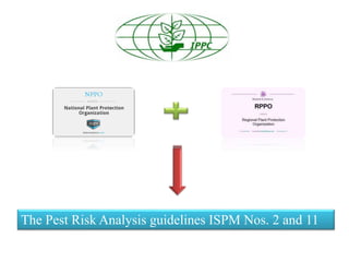 Pest risk analysis-Pest risk analysis (PRA) | PPTX