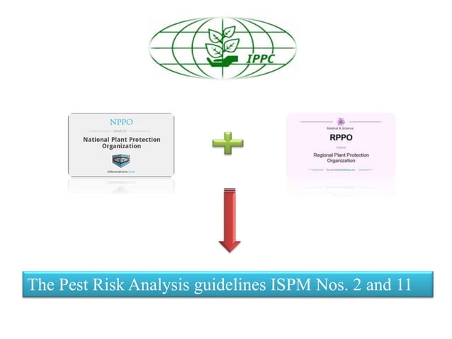 Pest risk analysis-Pest risk analysis (PRA) | PPTX
