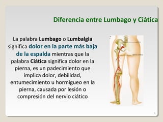 Problemas osteomusculares Lumbago | PPT
