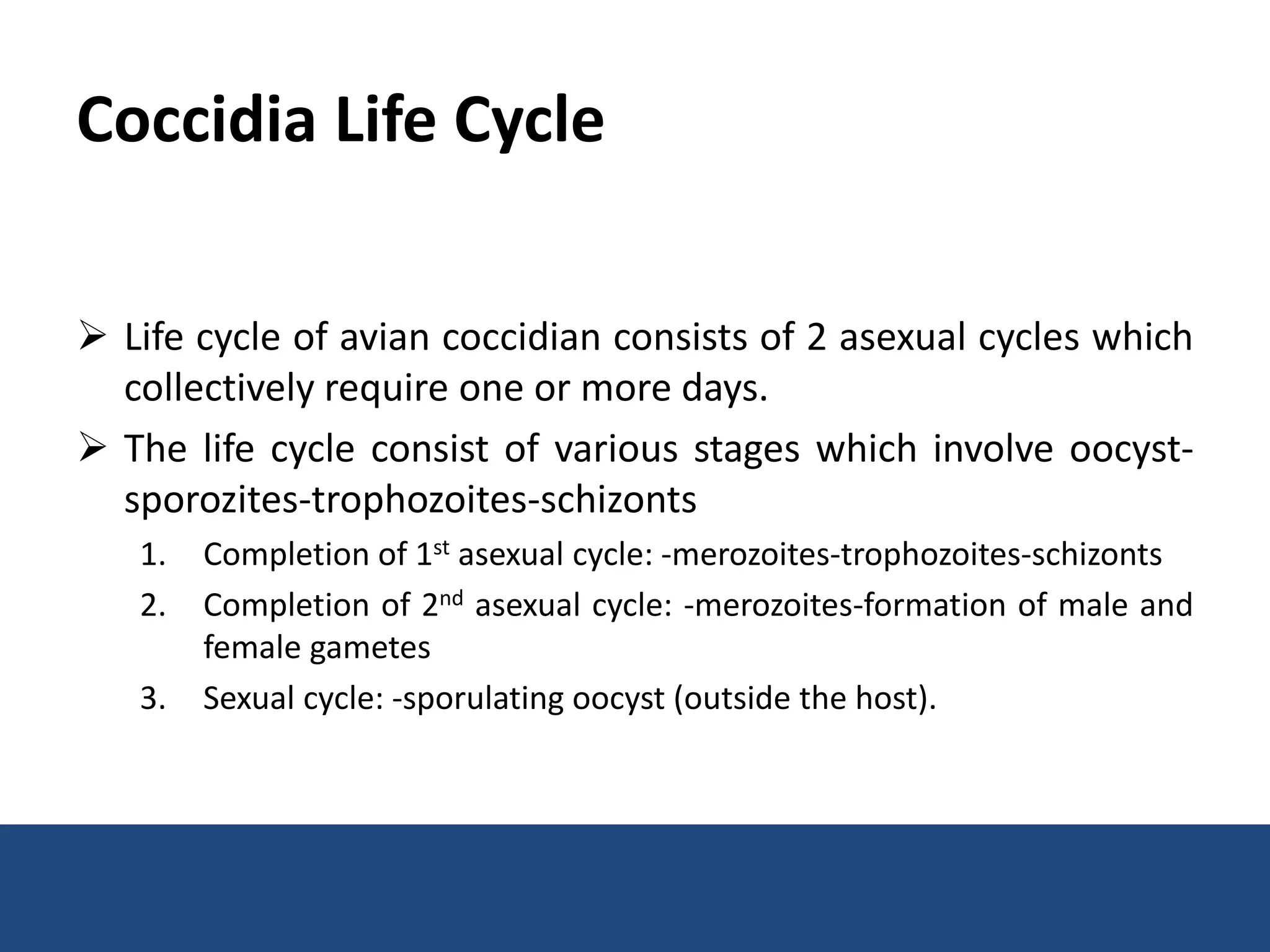 Prevention Of Coccidia In Poultry | PPTX