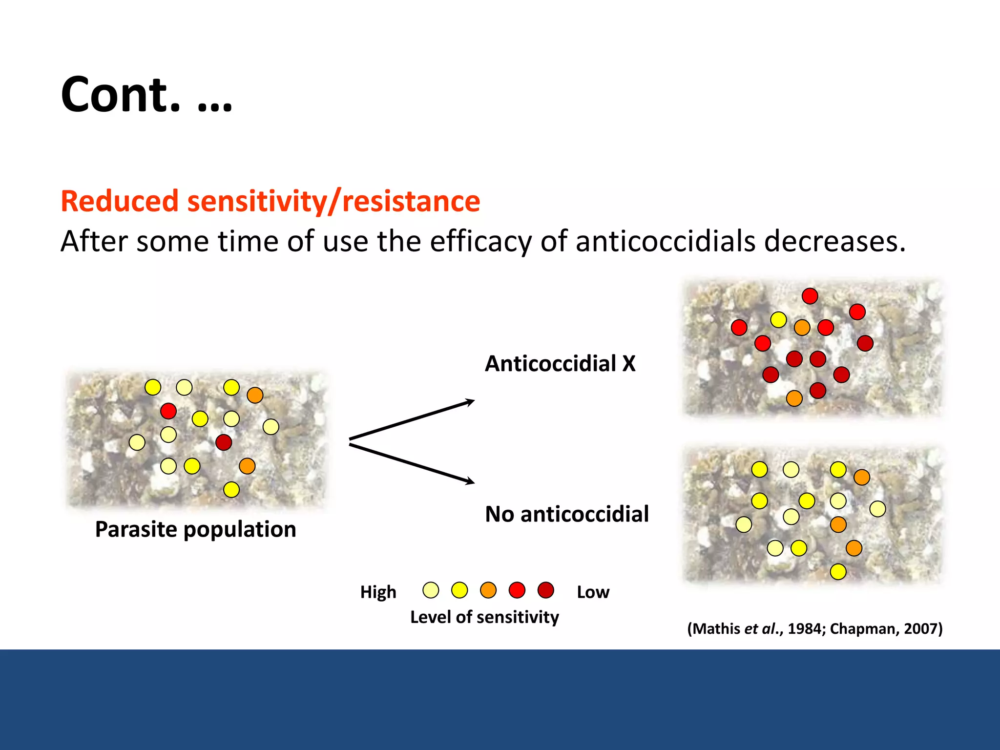 Prevention Of Coccidia In Poultry | PPTX