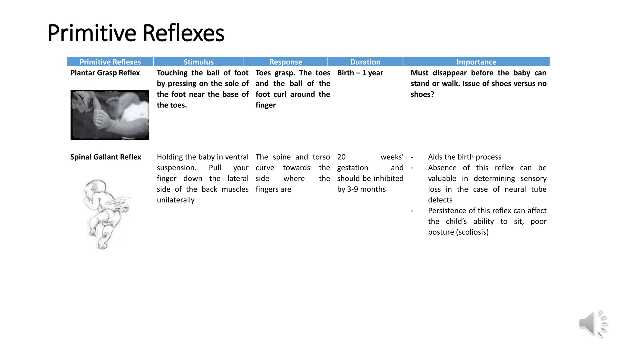 2- Primitive Reflexes.pptx in pediatrics | PPTX