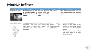 2- Primitive Reflexes.pptx in pediatrics | PPTX