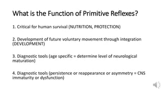 2- Primitive Reflexes.pptx in pediatrics | PPTX