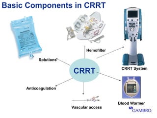 2 prismaflex crrt basic components - seg 2 | PPT