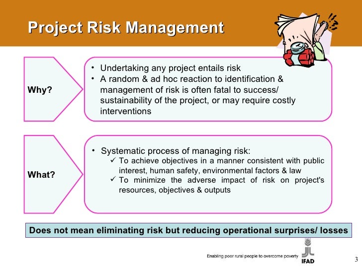 Project Risk Management