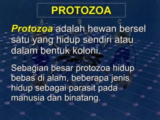 2. protozoa | PPT