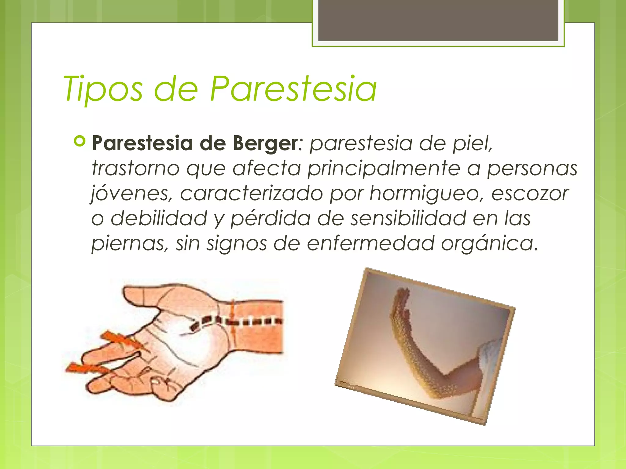 2. receptores sensoriales simples | PPT