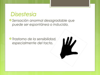 2. receptores sensoriales simples | PPT