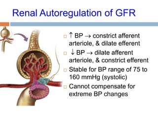 2-Regulation of GFR.ppt by dr eman.ppt