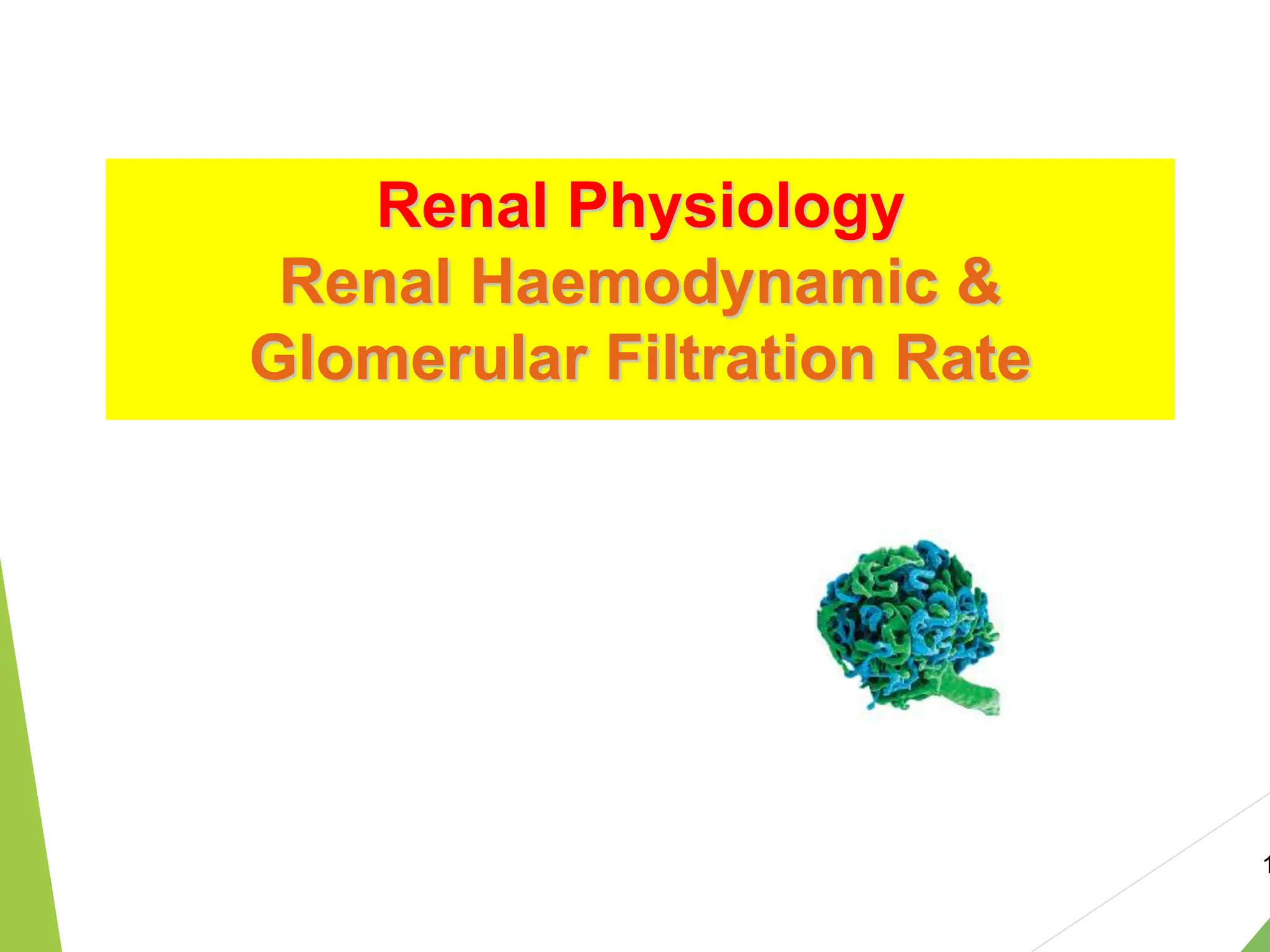Physiology of Renal system GFR URINE FORMATION | PPTX