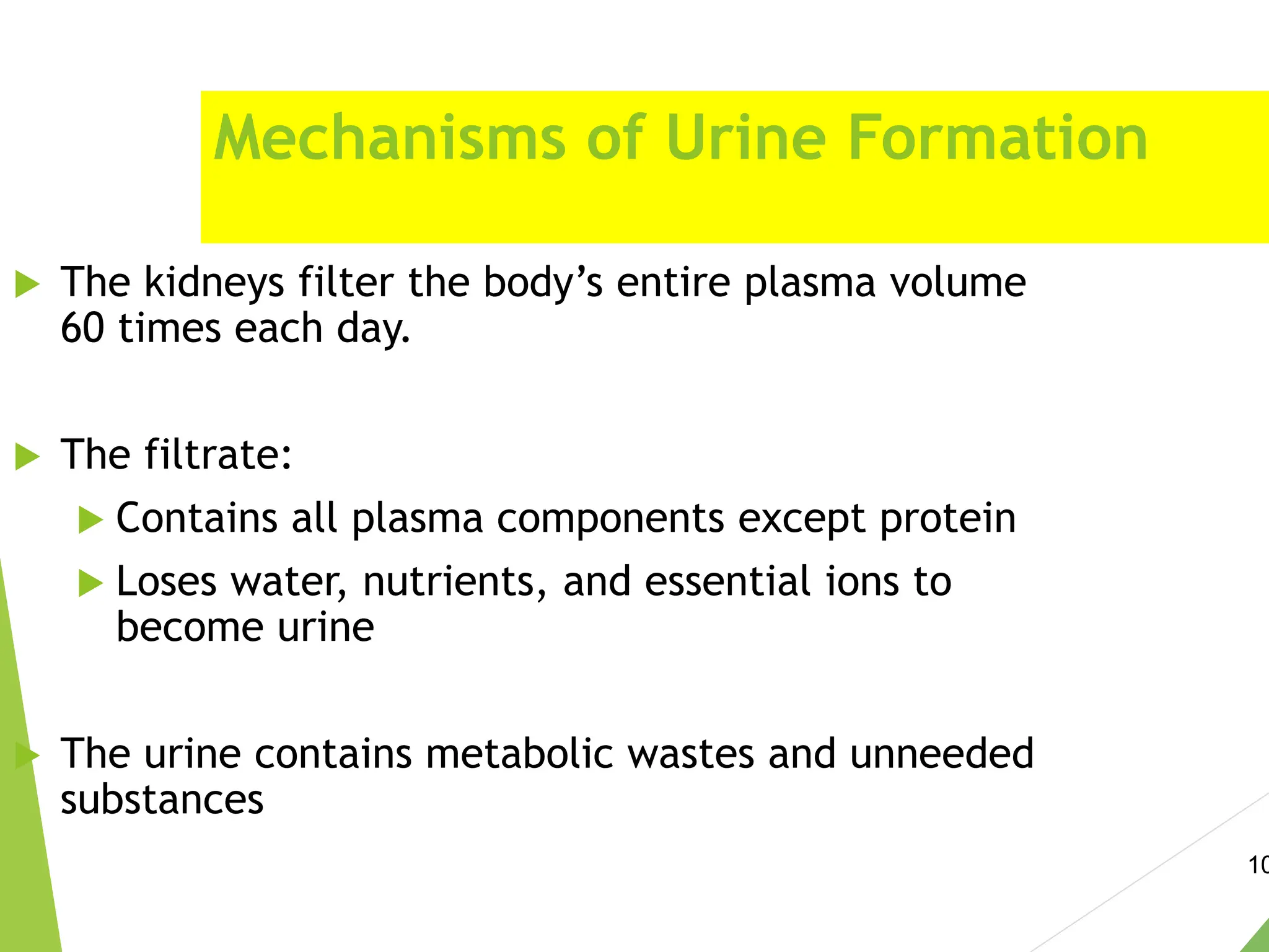 Physiology of Renal system GFR URINE FORMATION | PPTX