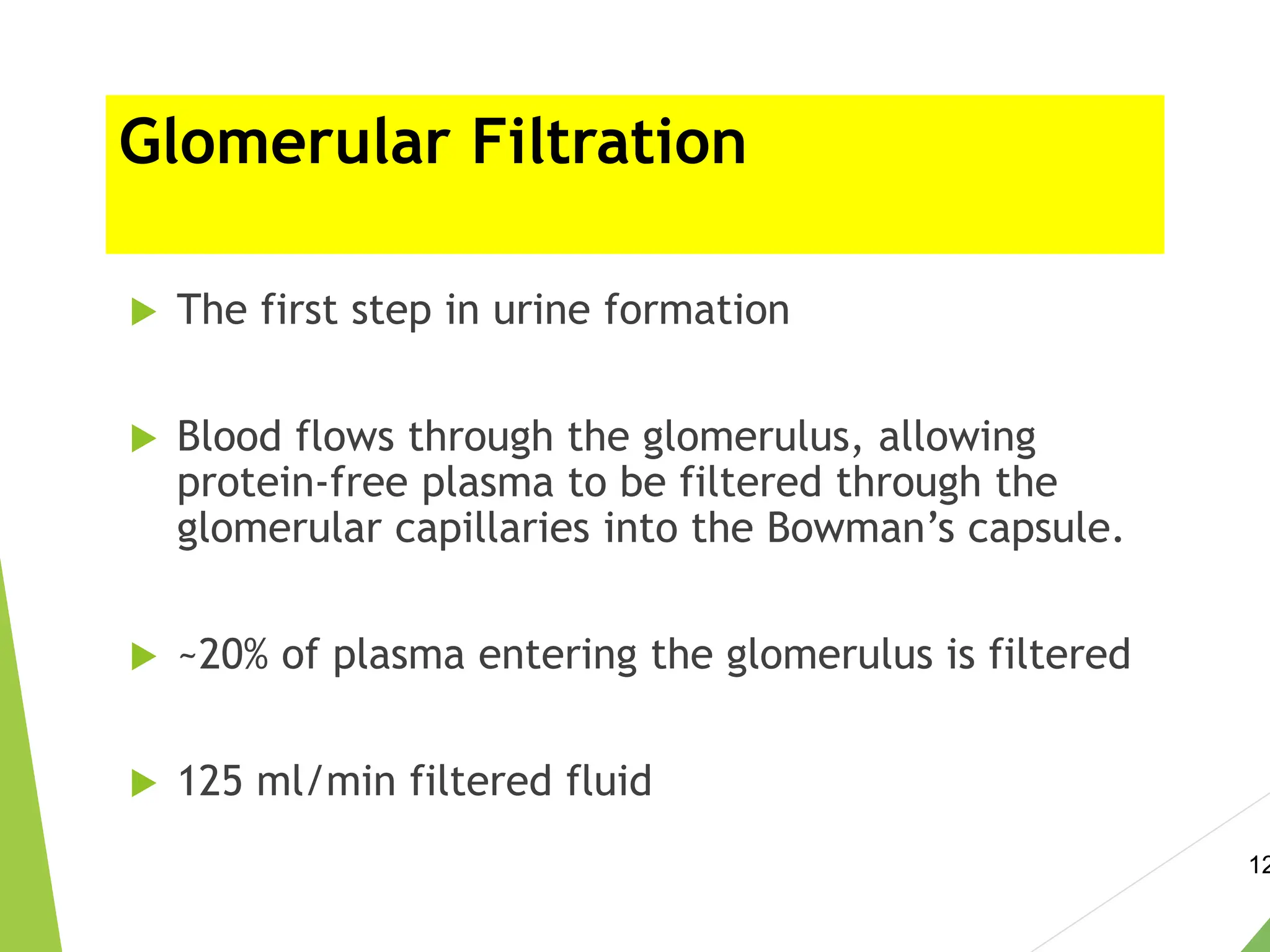 Physiology of Renal system GFR URINE FORMATION | PPTX