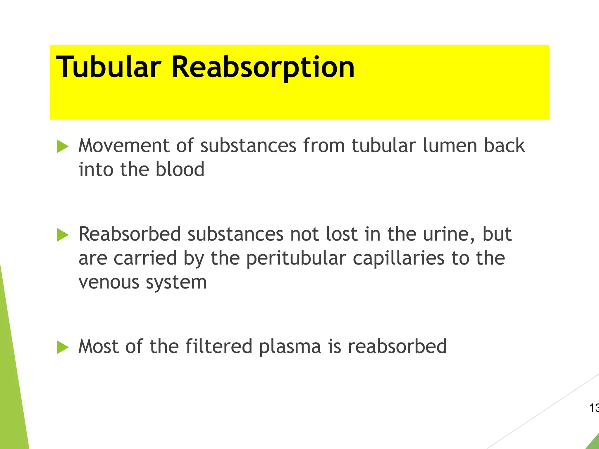 Physiology of Renal system GFR URINE FORMATION | PPTX