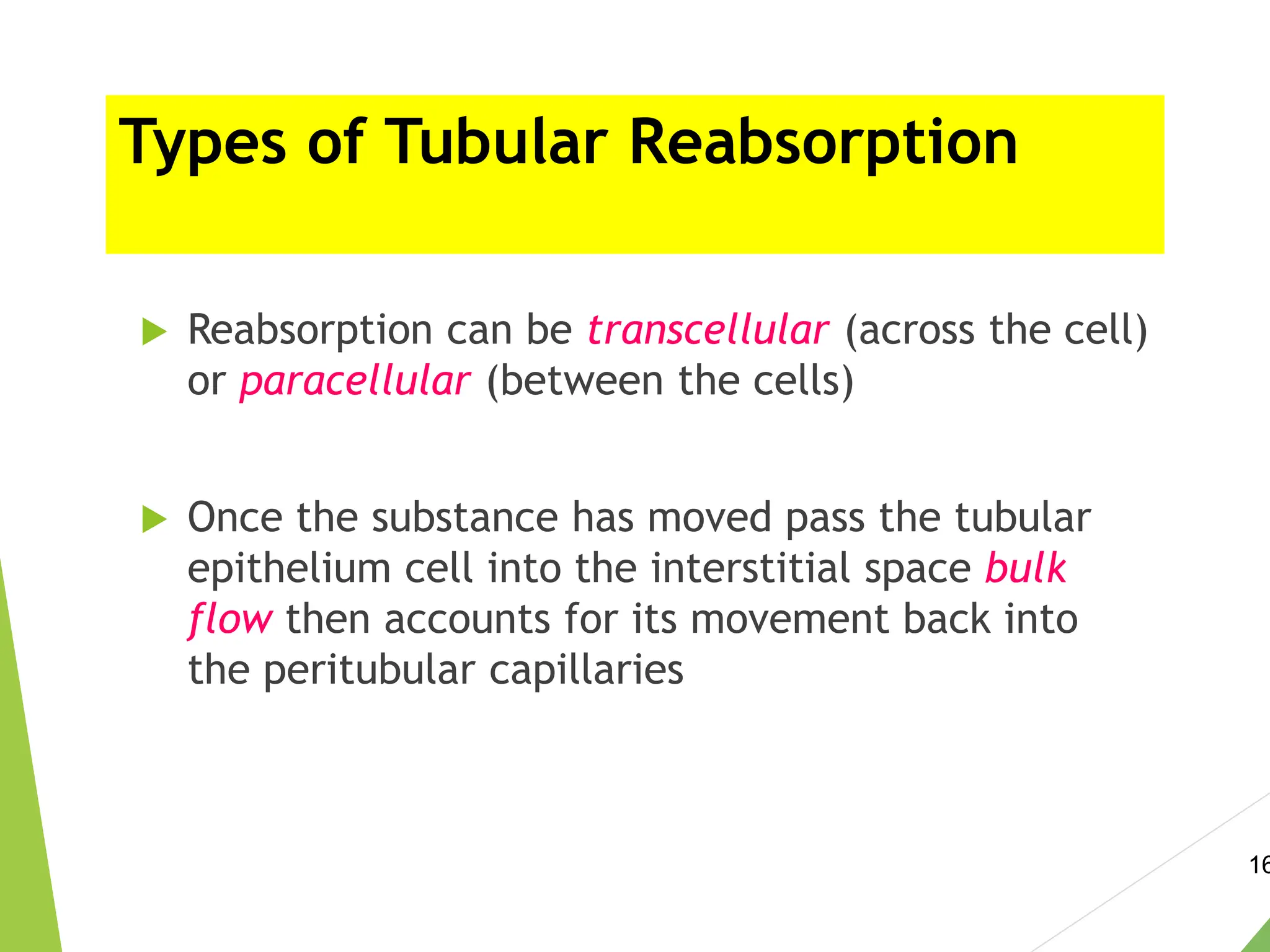 Physiology of Renal system GFR URINE FORMATION | PPTX
